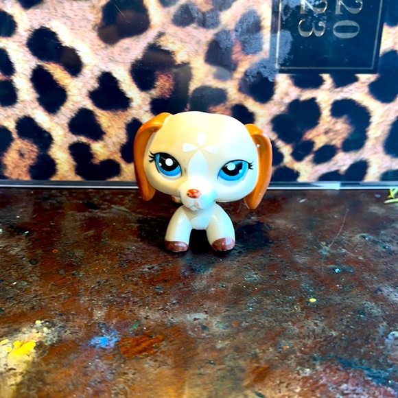 Hasbro | Toys | Lps Dashland Little Mark By The Left Eye | Poshmark